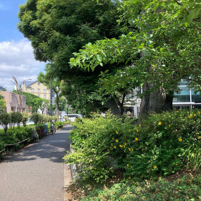 BRAND LIST – Pt.Alfred